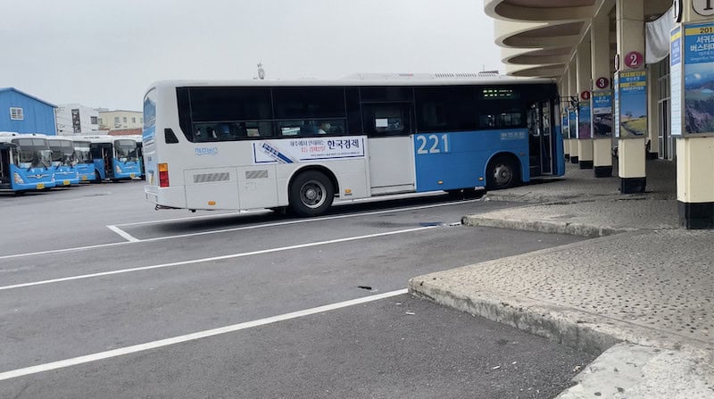 Ultimate Guide to Getting Around Jeju Without a Car