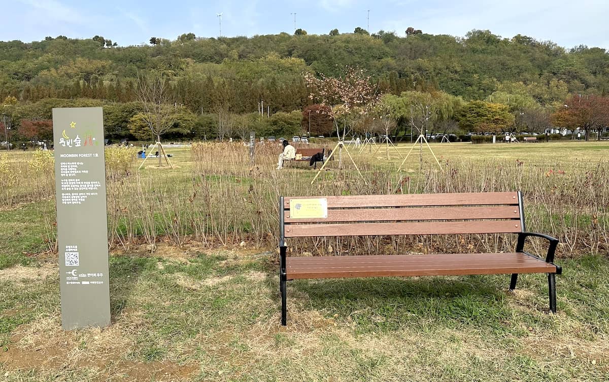 13 Fun Kpop Things to Do in Seoul (from a fellow kpop stan)